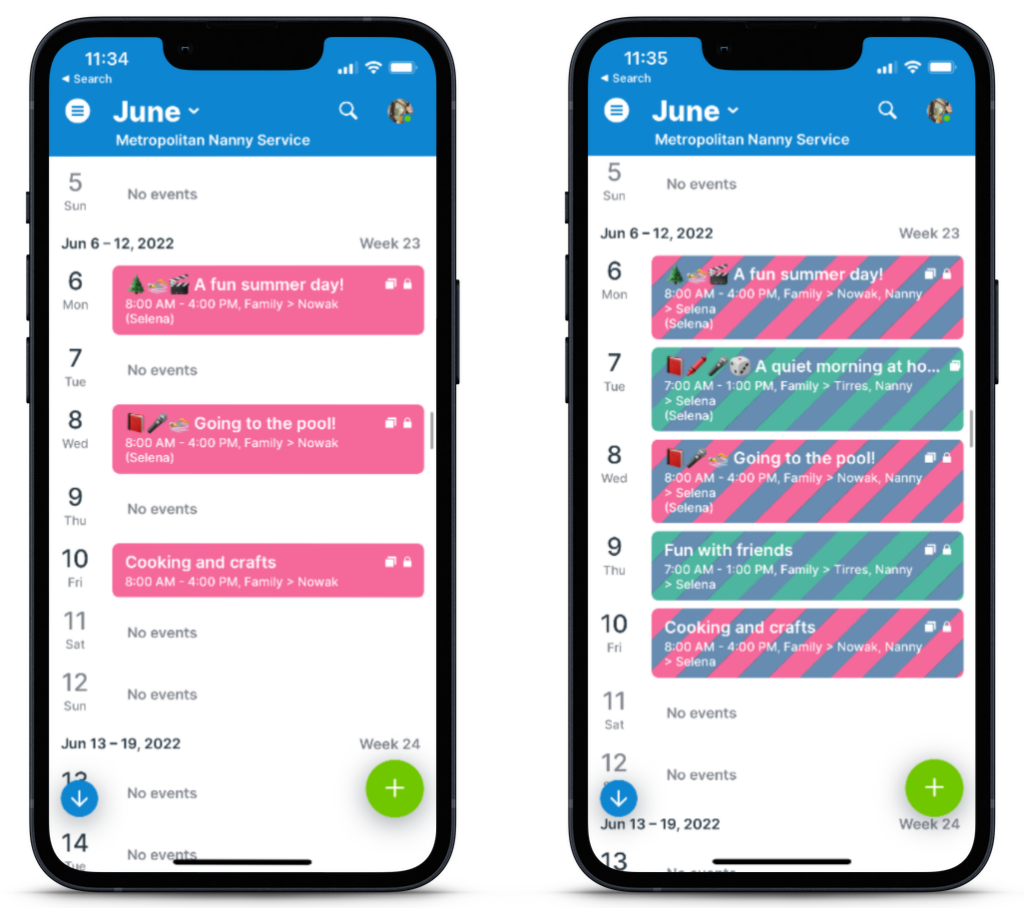 How to Use Teamup as a Nanny Journal for a Nanny Service